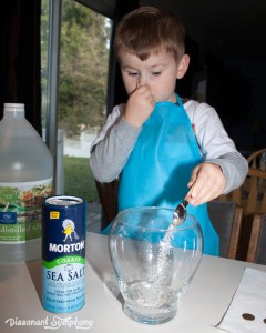 Science Experiment: Magic Penny Cleaner | Dissonant Symphony