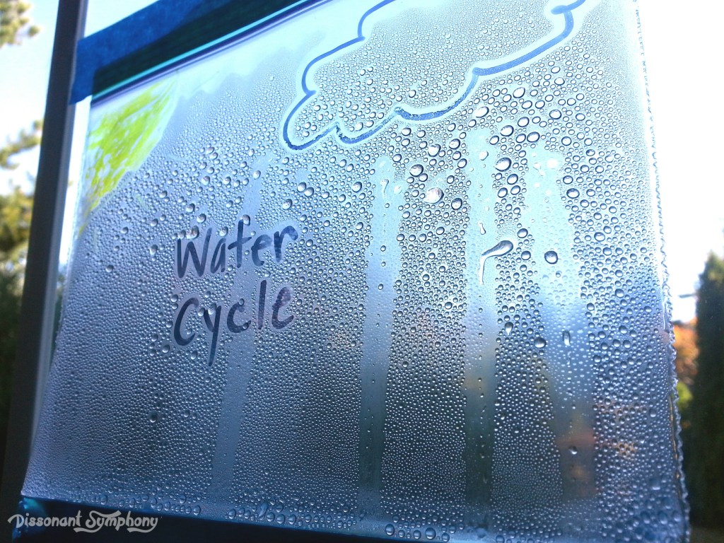 Water Cycle in a Bag | Dissonant Symphony